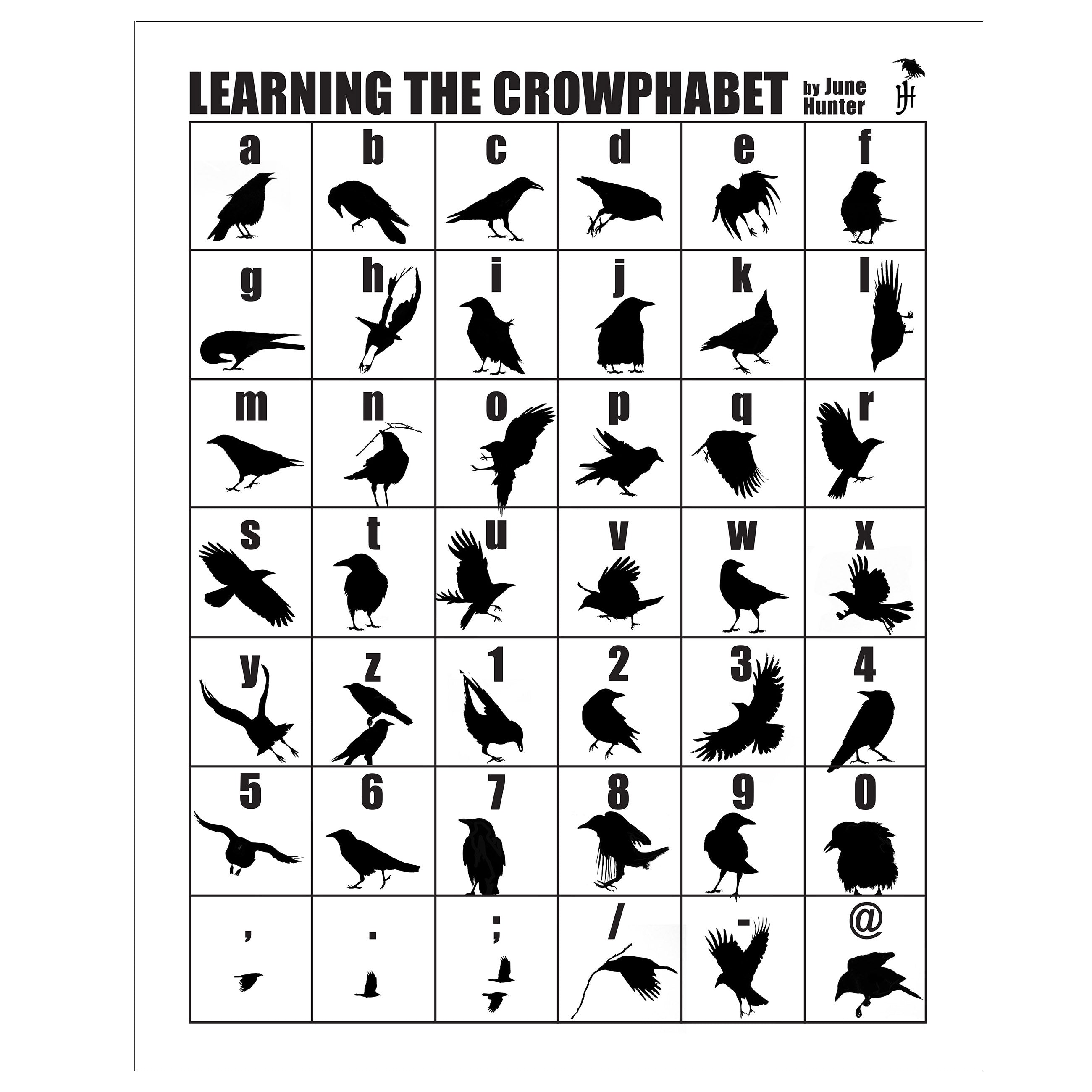 Swarm of Crows: Causes, Meaning, History and Mystery