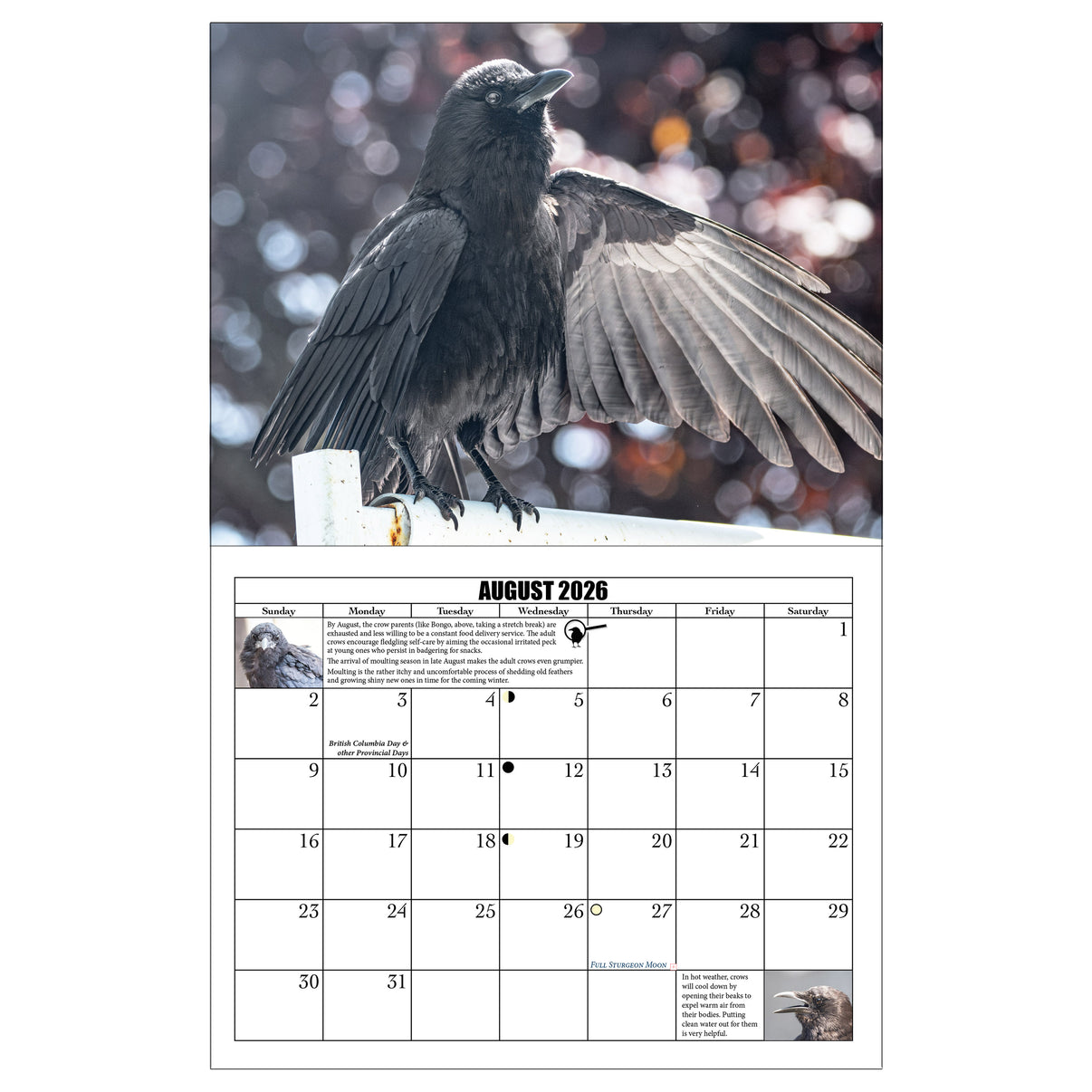 Crow Calendar