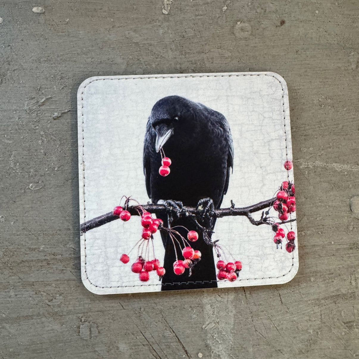 PHILOSOPHER CROW — Coaster