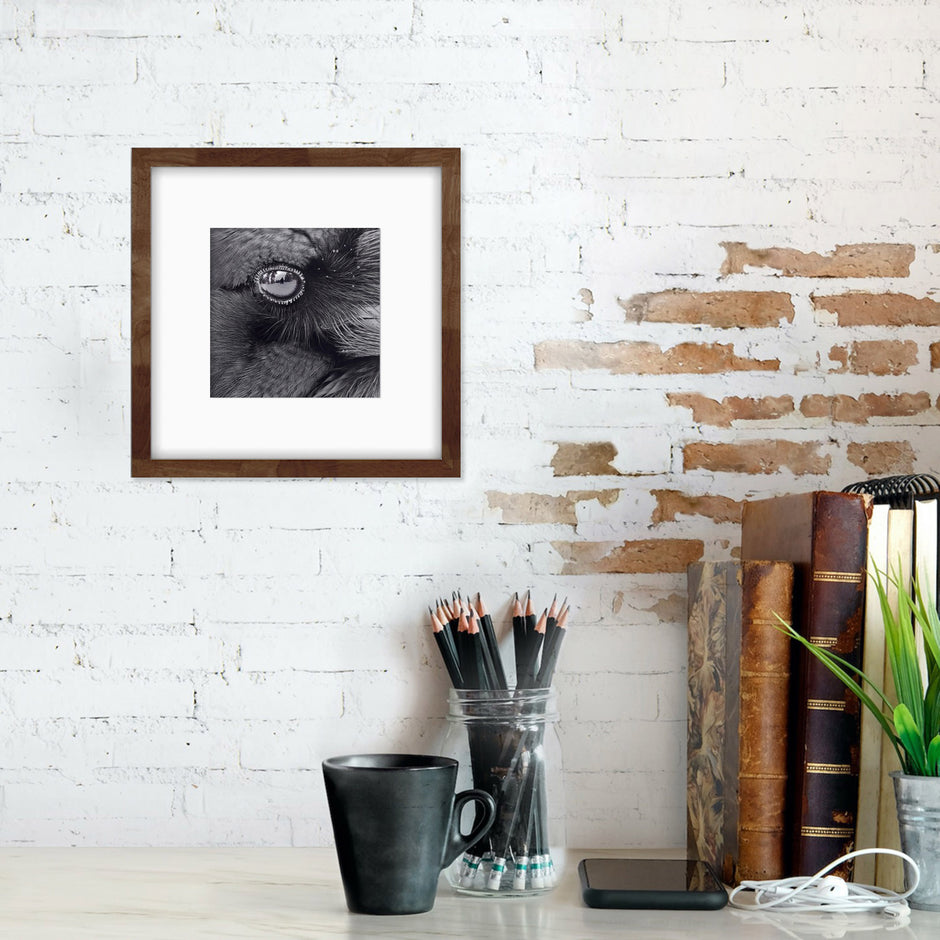 Raven Art: Prints & Wall Art by June Hunter