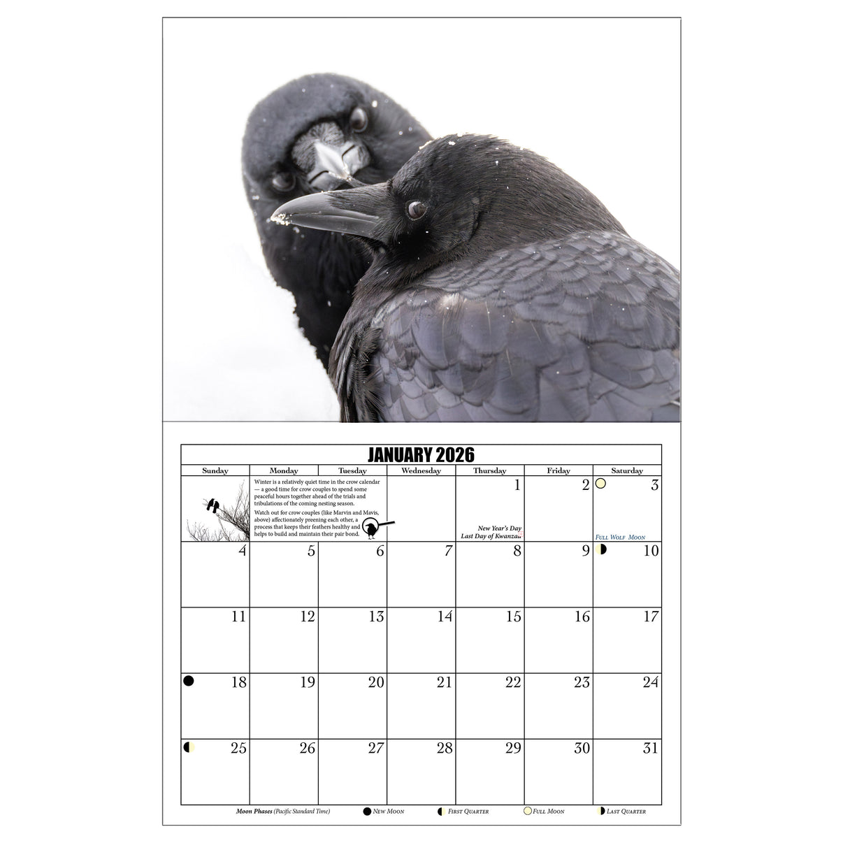 Crow Calendar
