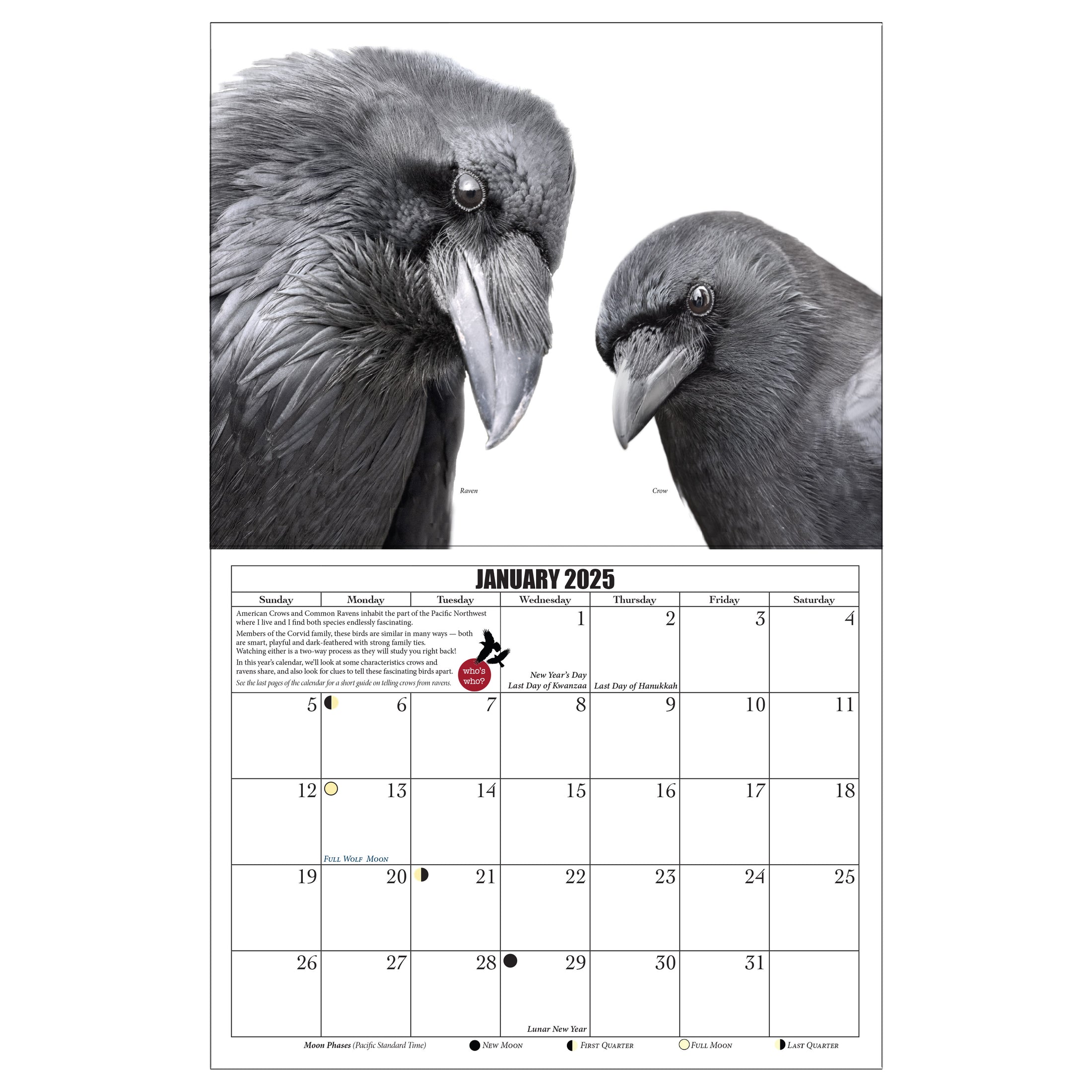 City Crow Calendar