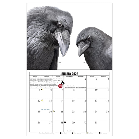 City Crow Calendar