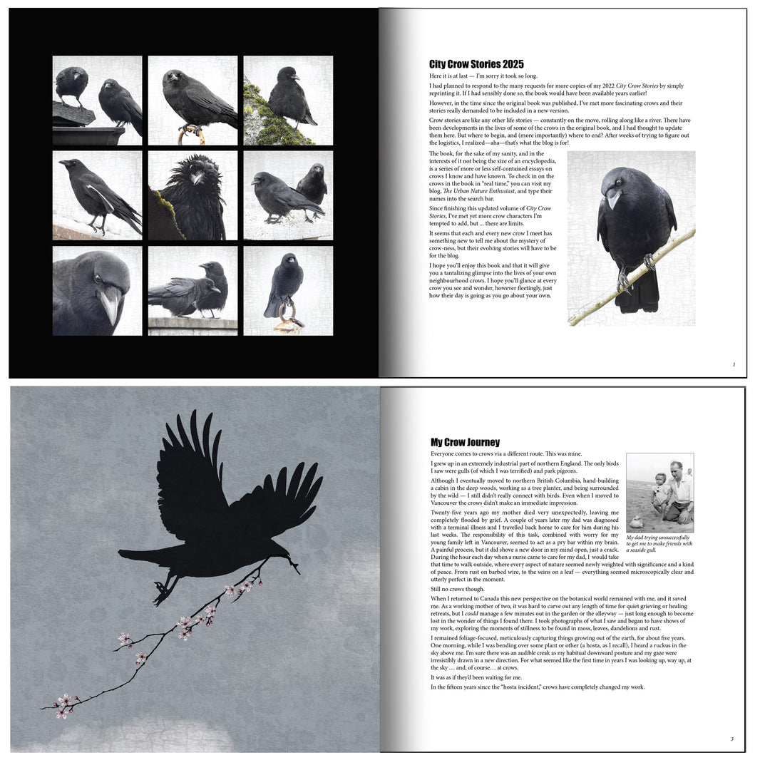 Bird Art Paper Goods | Notebooks, Postcards and Calendars