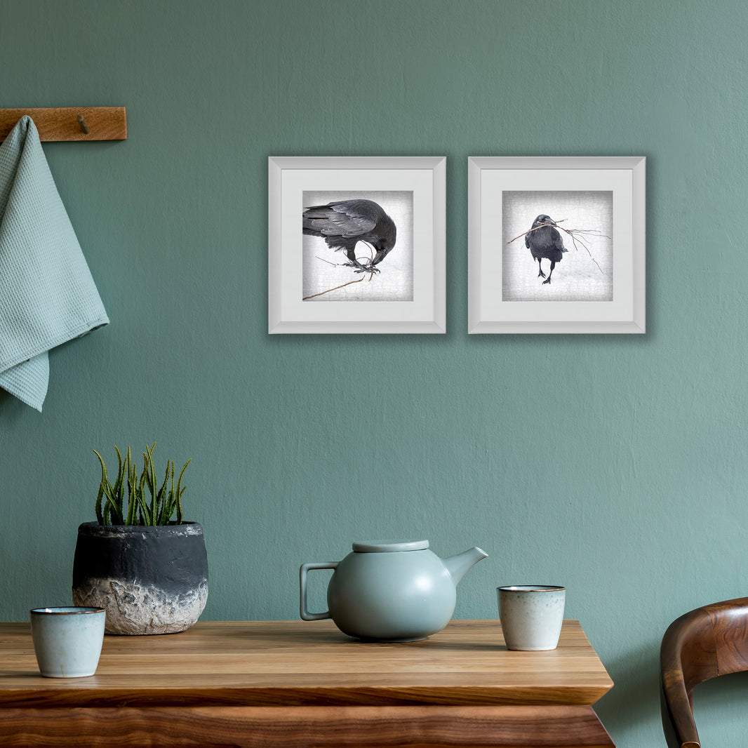 Raven Art: Prints & Wall Art by June Hunter