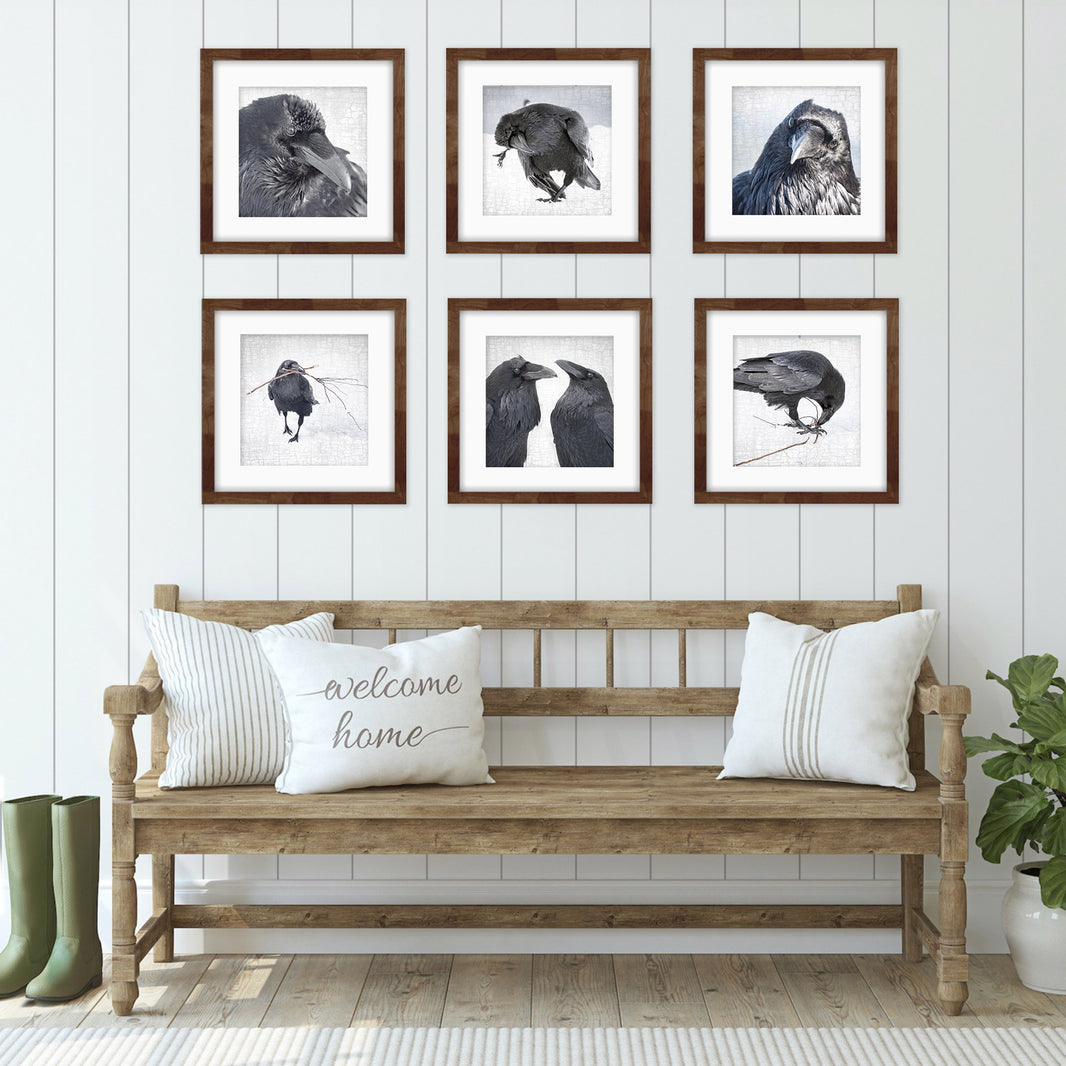 Raven Art: Prints & Wall Art by June Hunter