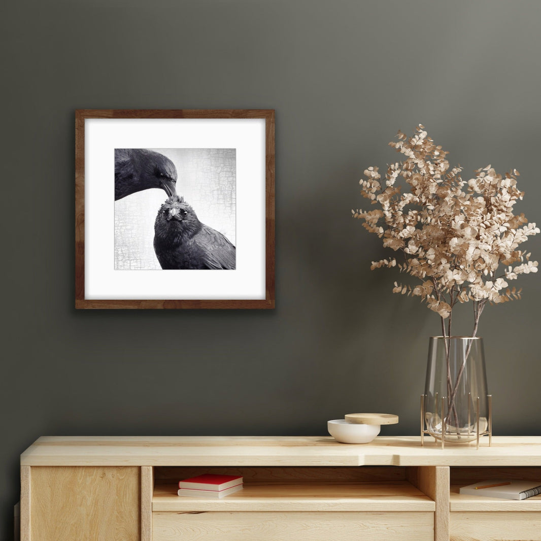 Fine Art Prints by June Hunter | Photography