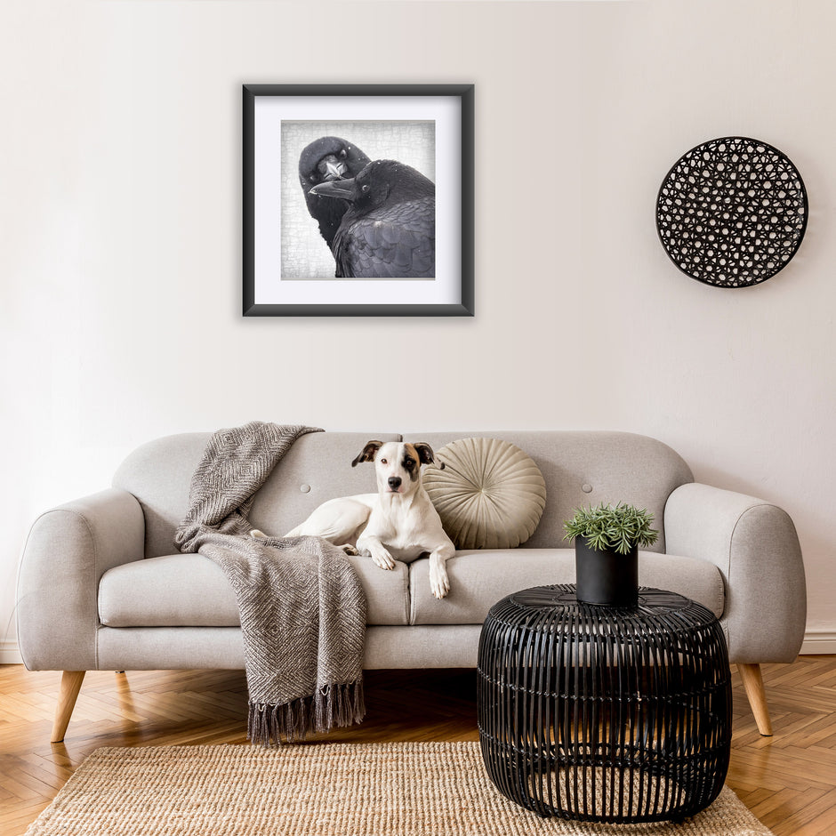 Fine Art Prints by June Hunter | Photography