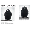 PHILOSOPHER CROW - Fine Art Crow Photography Print