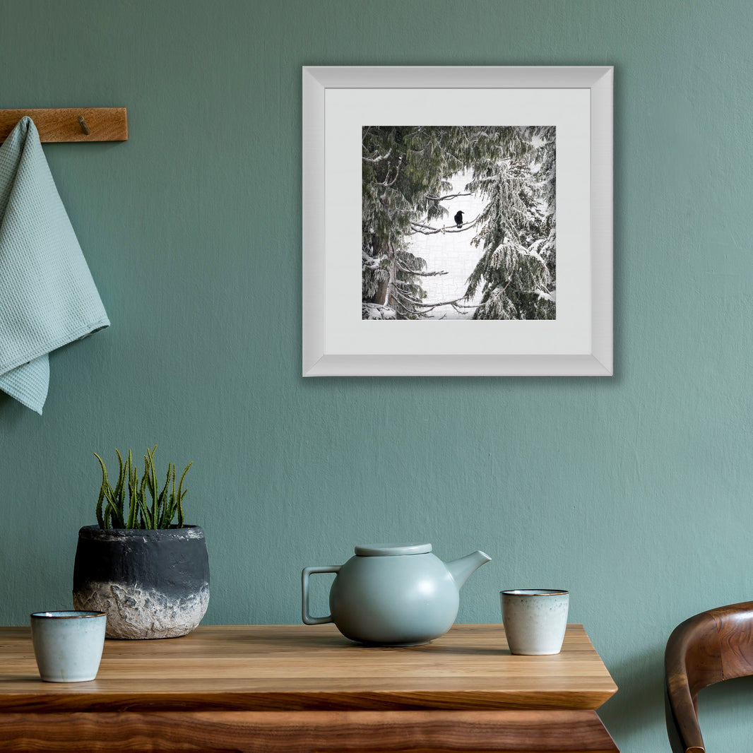 Raven Art: Prints & Wall Art by June Hunter